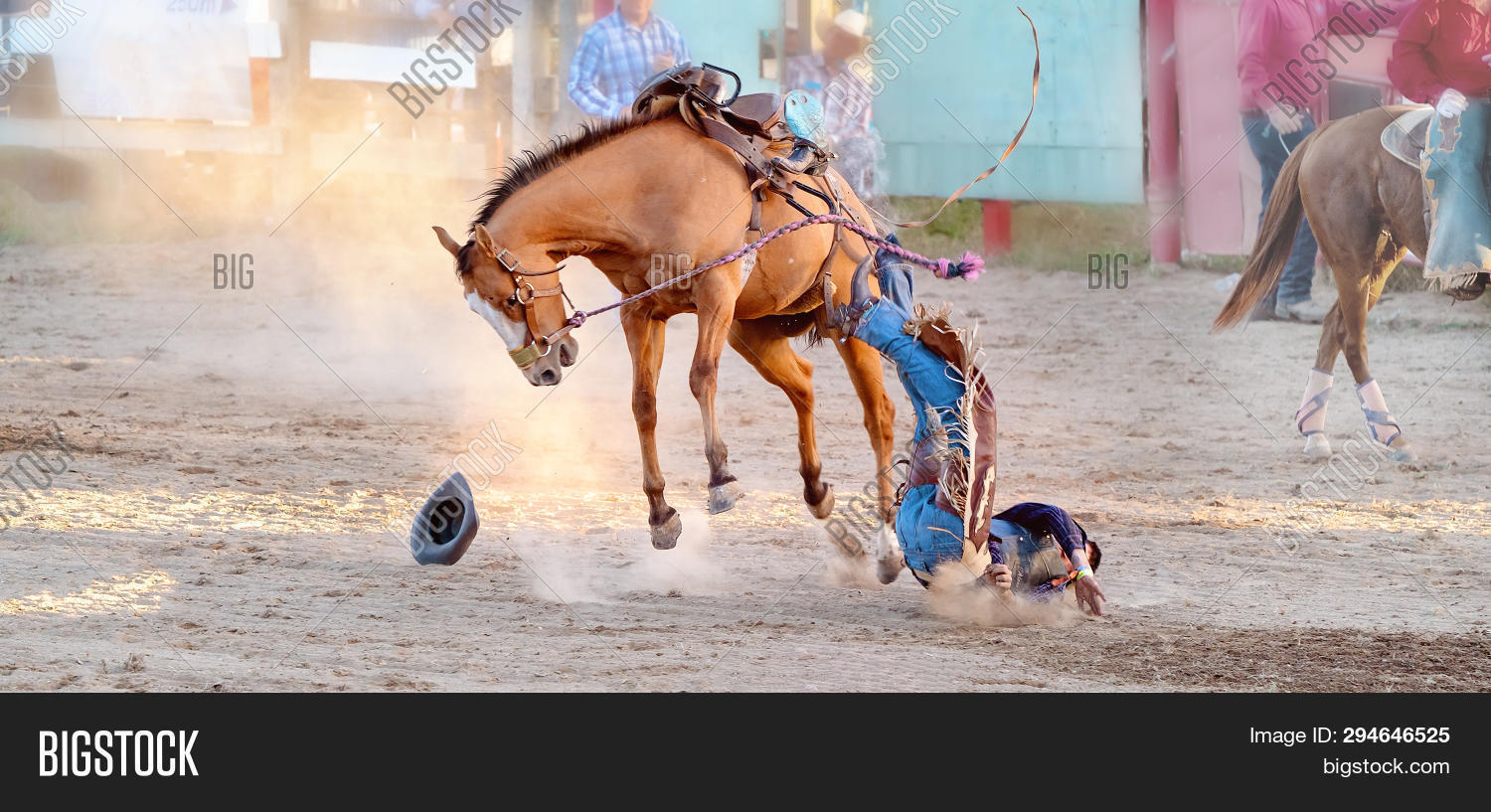 Bucking Bronc Horse Image & Photo (Free Trial) | Bigstock