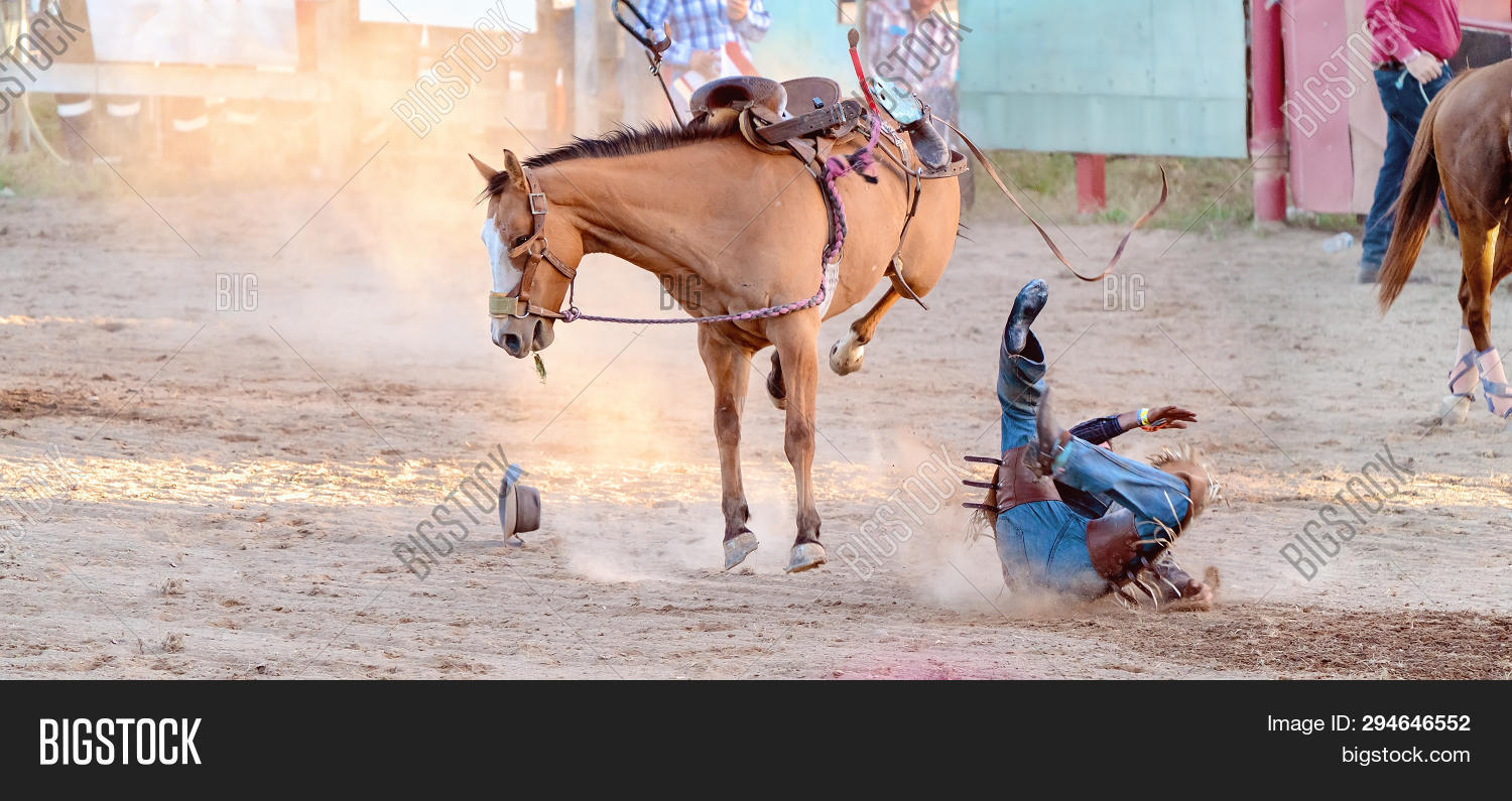 Bucking Bronc Horse Image & Photo (Free Trial) | Bigstock