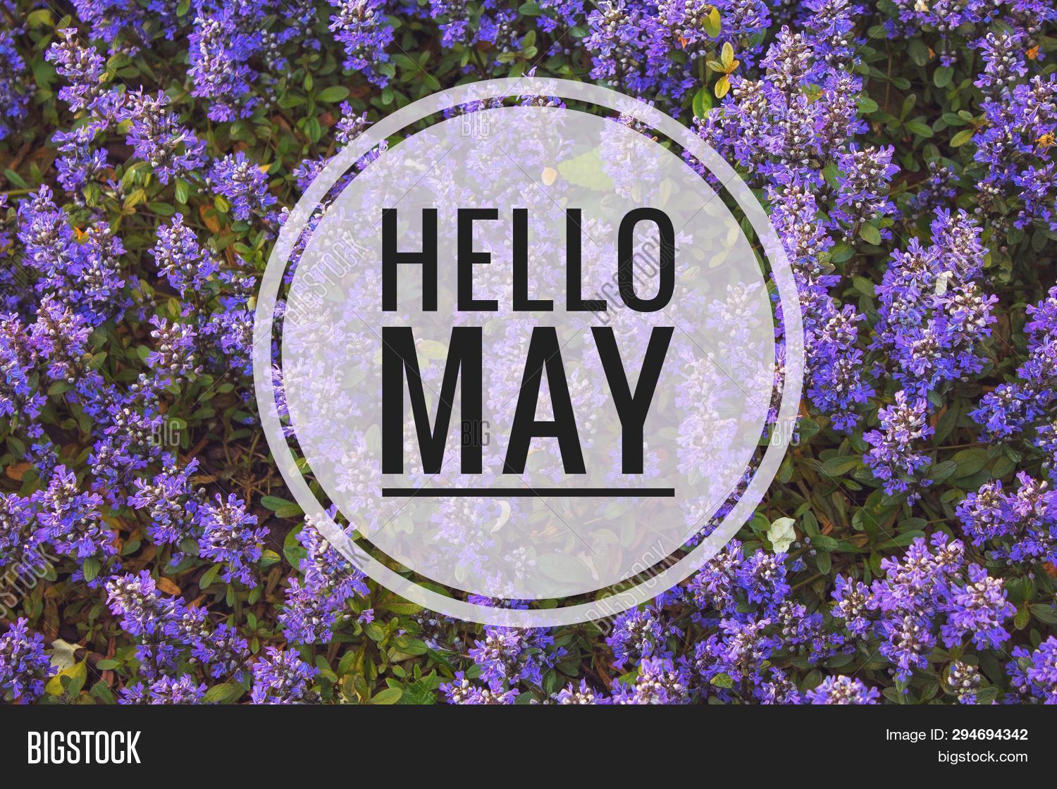 Banner Hello May. Image & Photo (Free Trial) | Bigstock