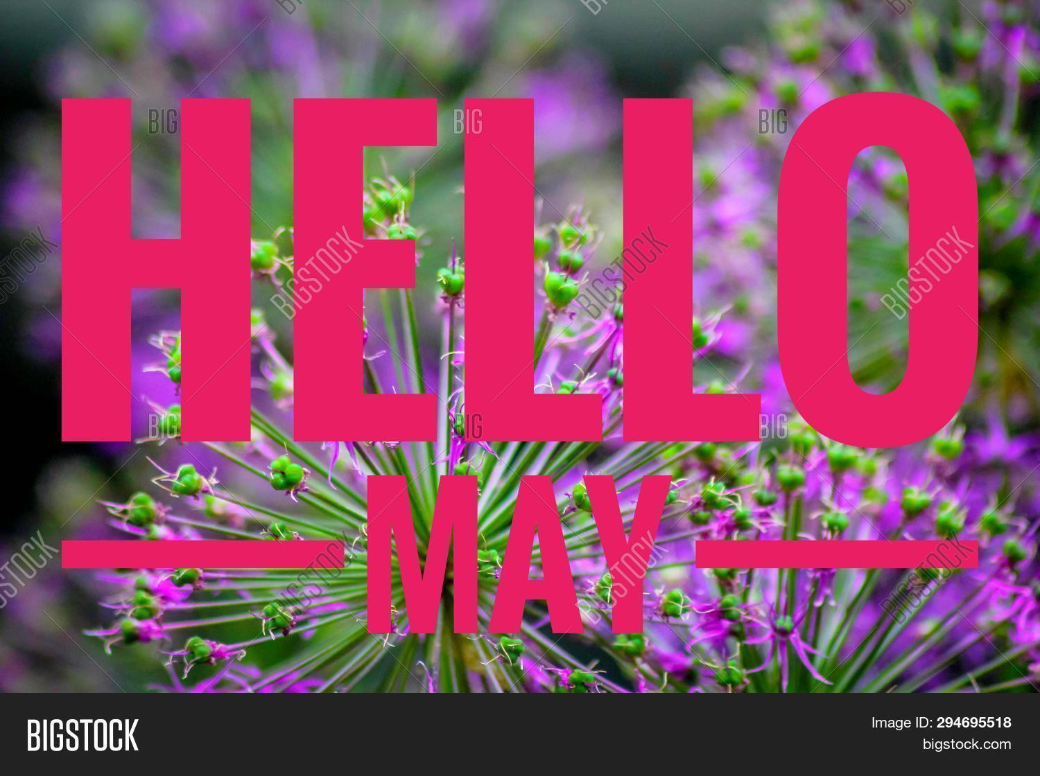 Banner Hello May. Image & Photo (Free Trial) | Bigstock