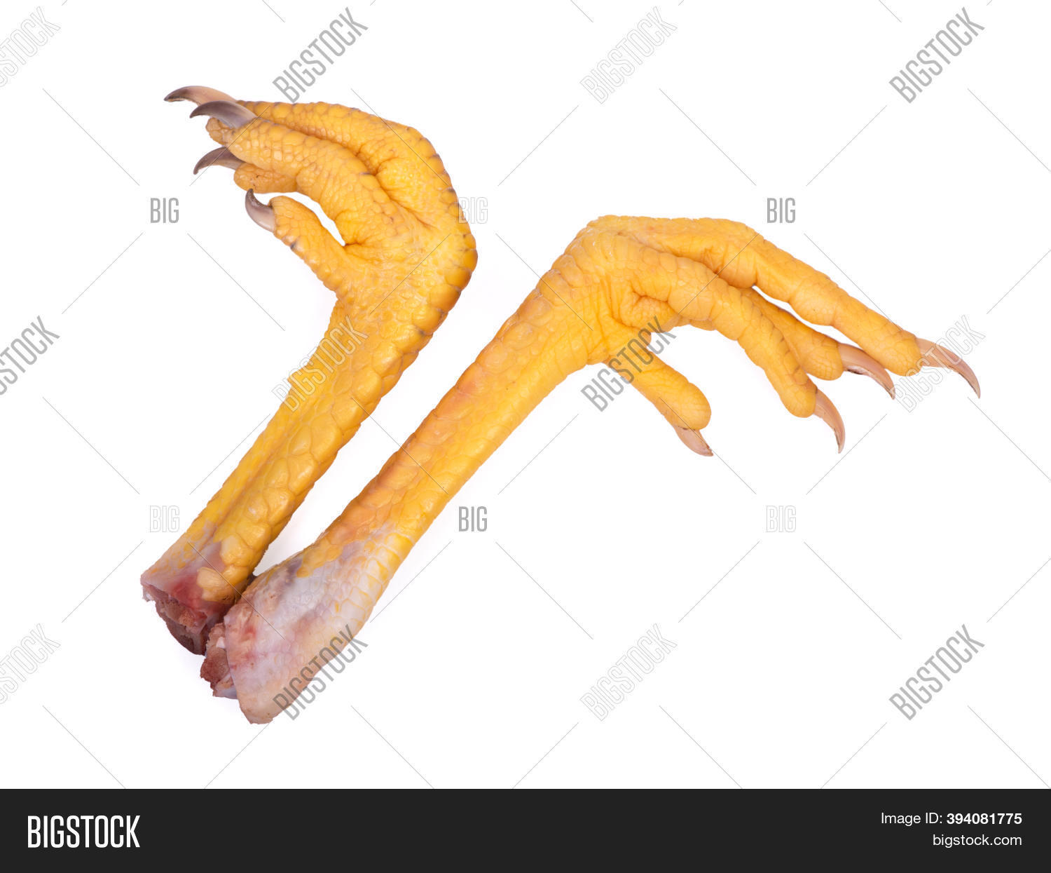 Fresh Raw Chicken Feet Image & Photo (Free Trial) | Bigstock