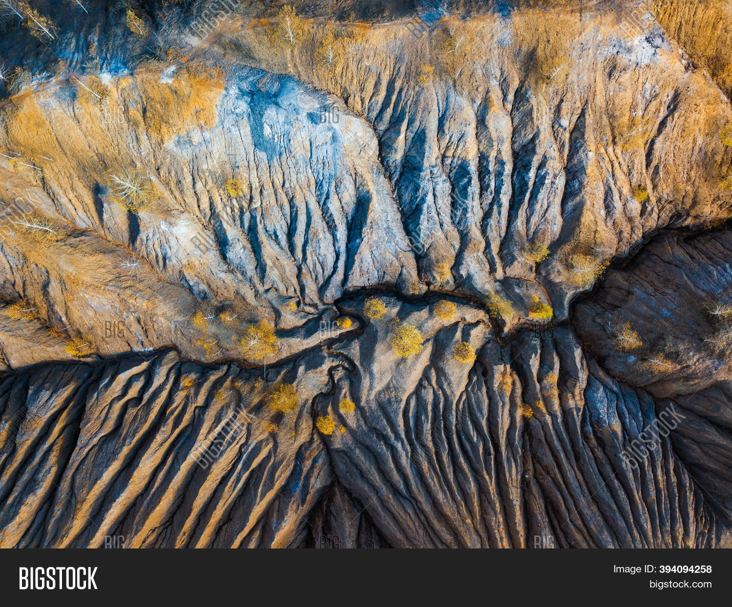 Fancy Unusual Autumn Image & Photo (Free Trial) | Bigstock