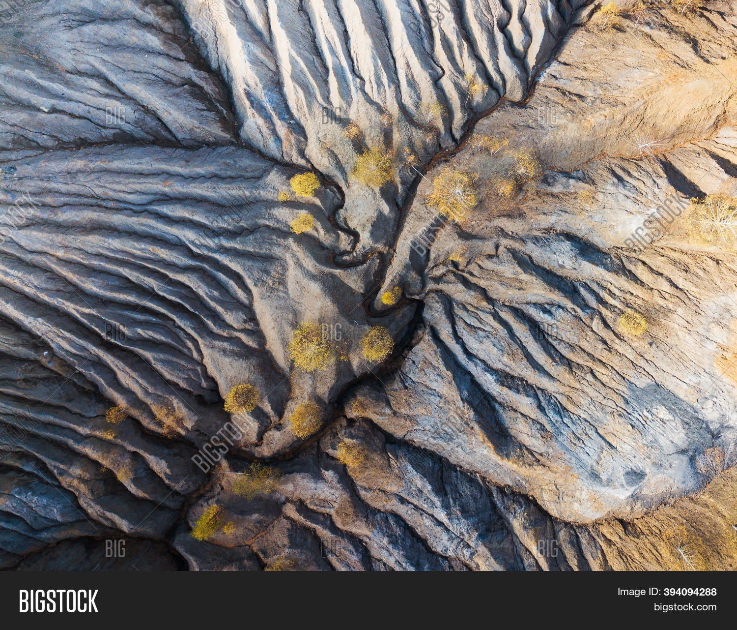 Fancy Unusual Autumn Image & Photo (Free Trial) | Bigstock