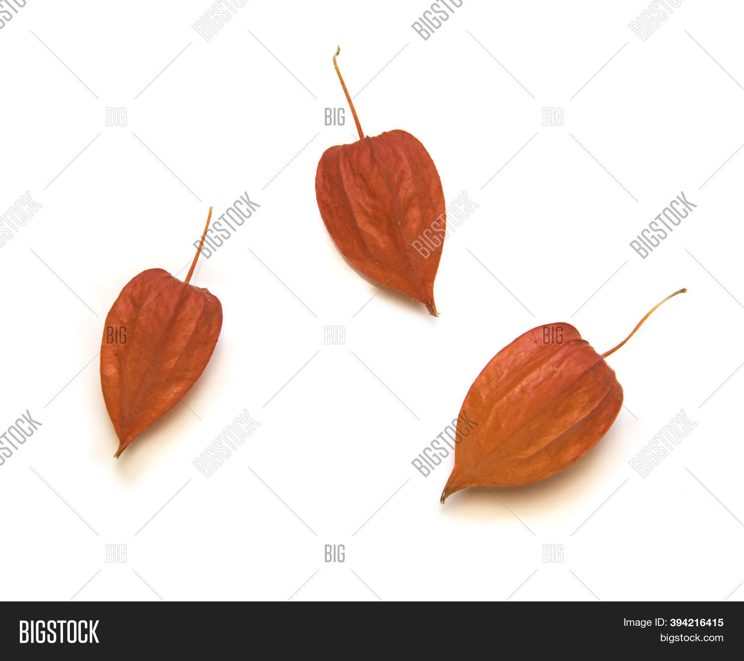 Set Red Boxes Image & Photo (Free Trial) | Bigstock