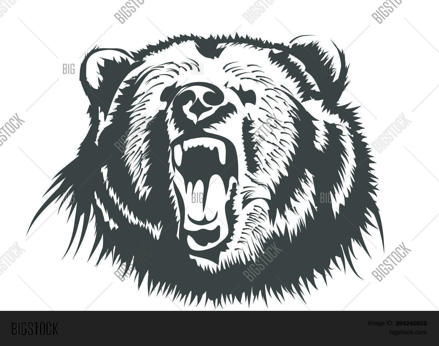 Bear Animal Vector Vector & Photo (Free Trial) | Bigstock