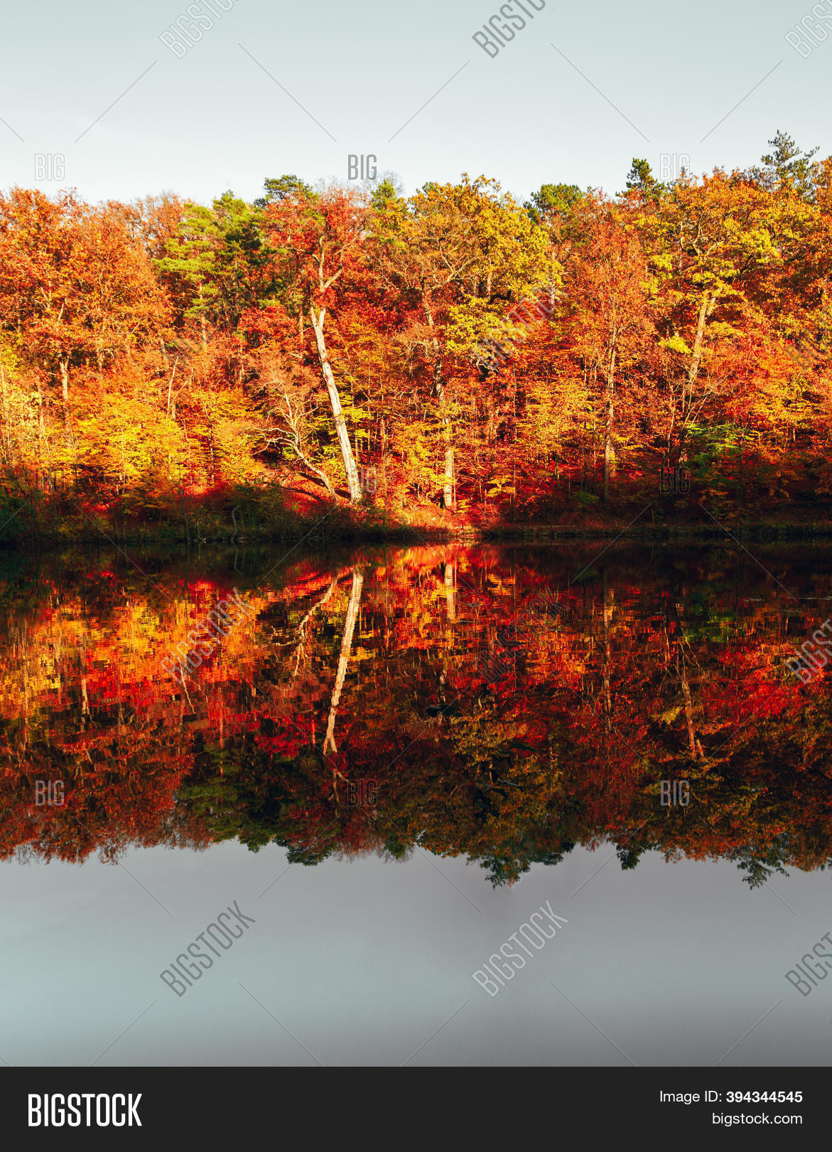 Autumn Forest Lake Image & Photo (Free Trial) | Bigstock