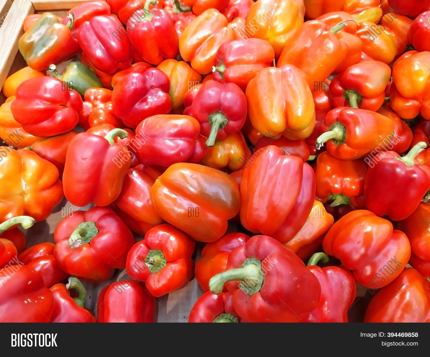 Pepper. Red Bell Image & Photo (Free Trial) | Bigstock