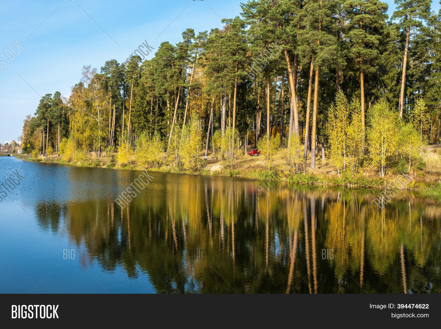 River Bank Tall Pine Image & Photo (Free Trial) | Bigstock
