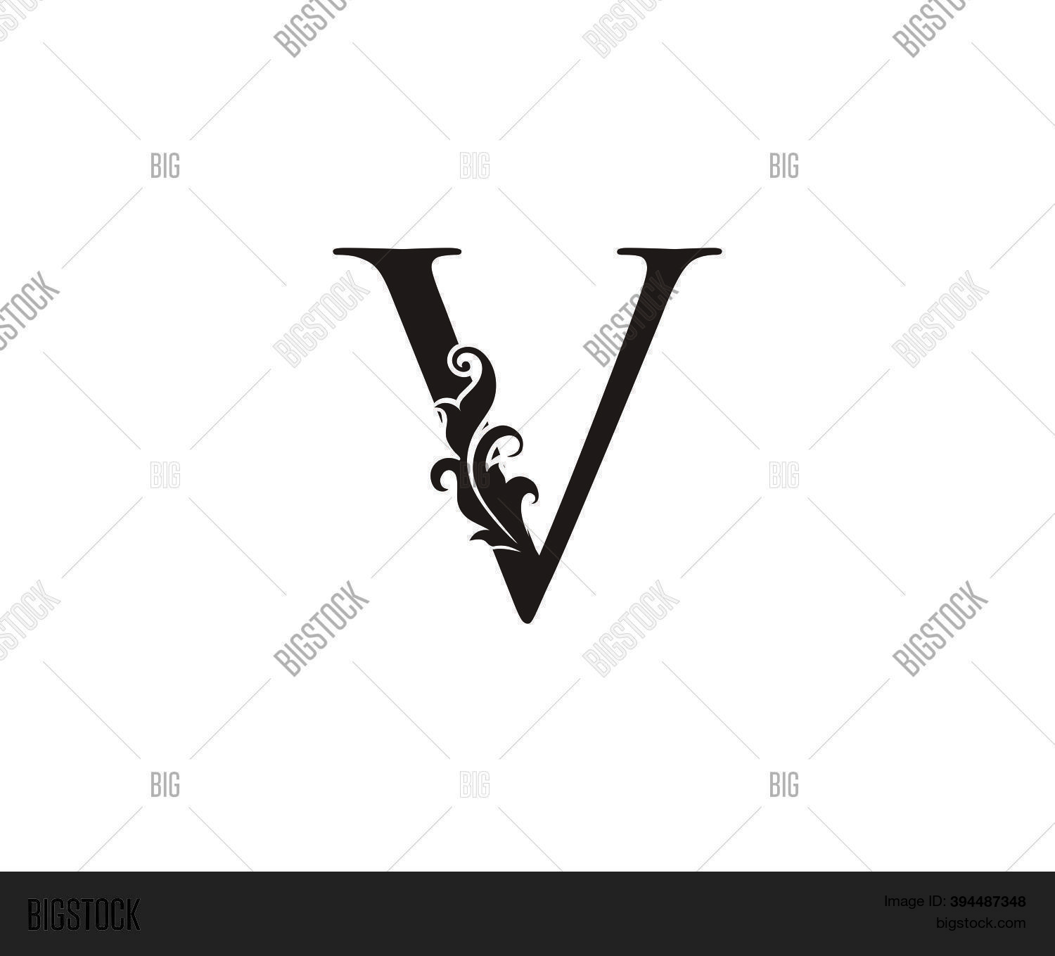 Classic V Letter Logo Vector & Photo (Free Trial) | Bigstock
