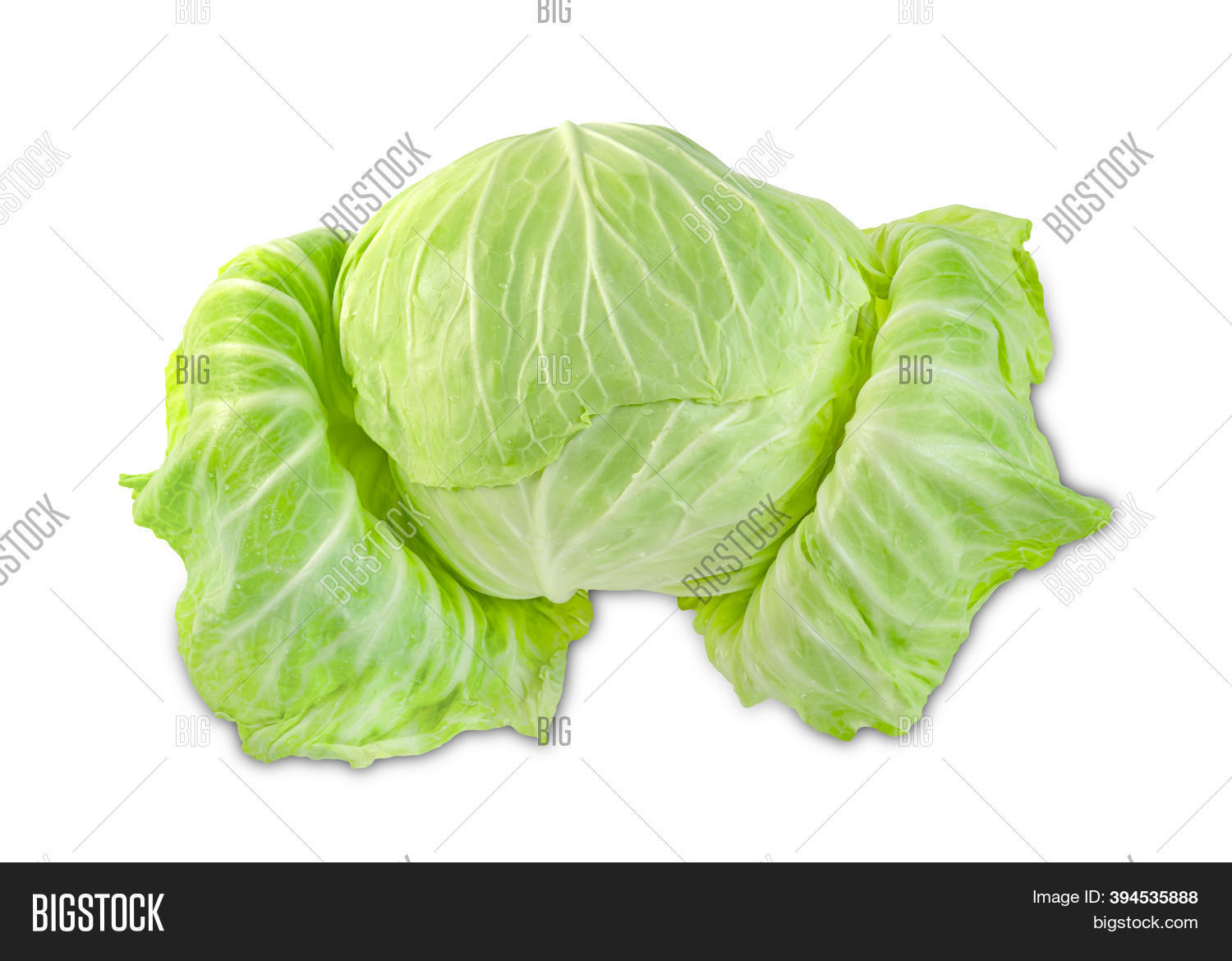Cabbage Isolated On Image & Photo (Free Trial) | Bigstock