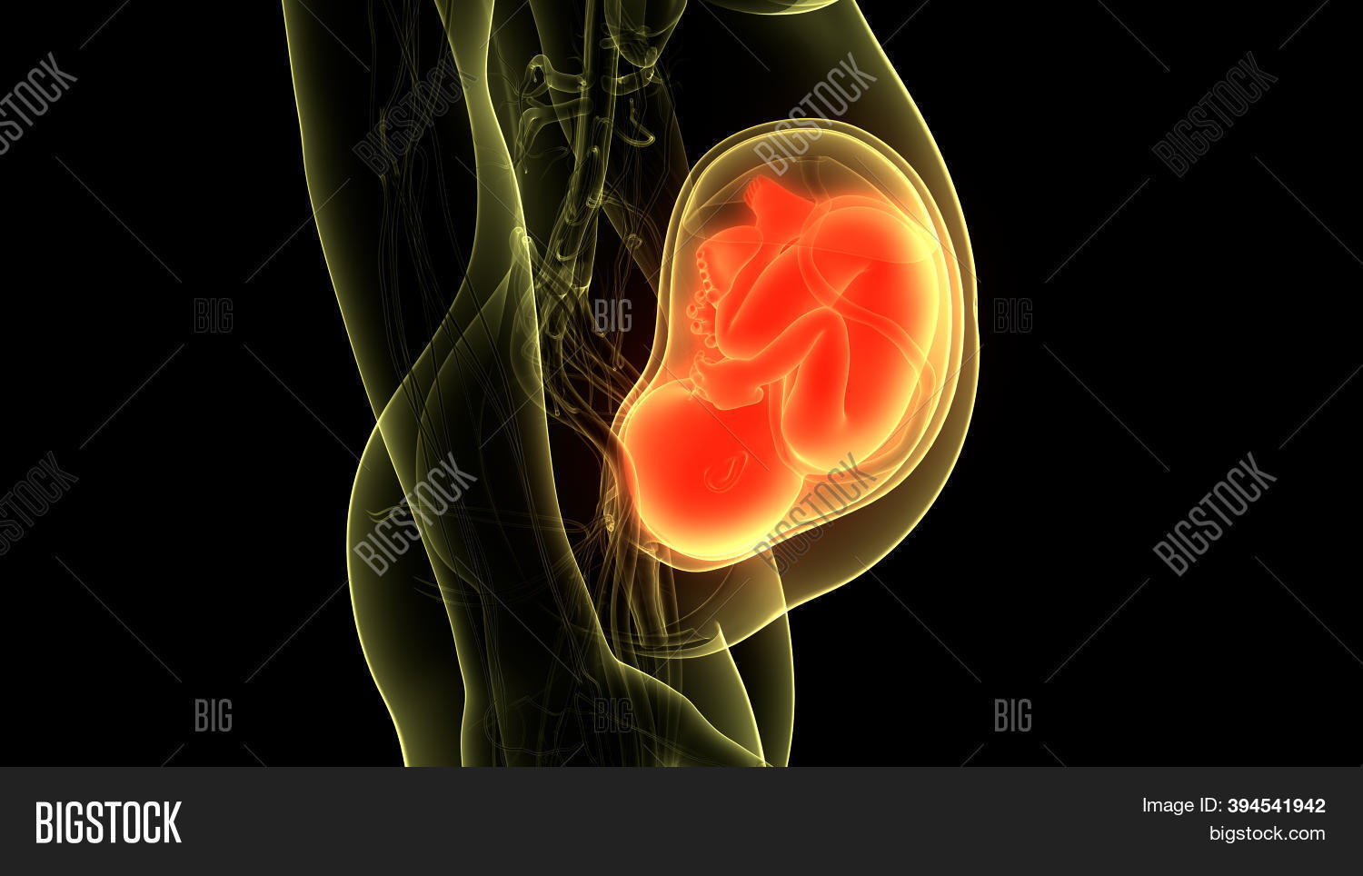 3d Illustration Image & Photo (Free Trial) | Bigstock