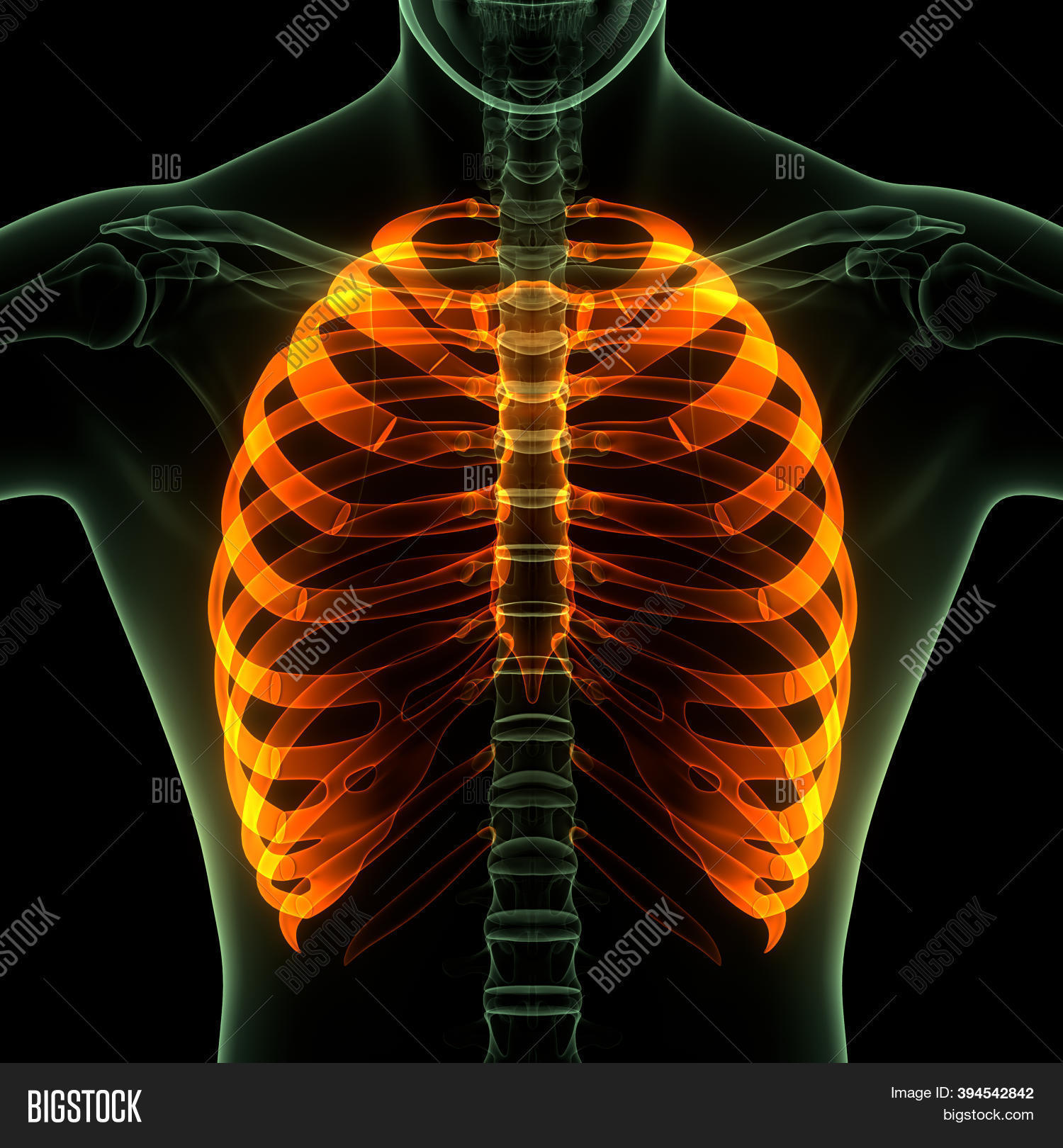 3d Illustration Image & Photo (Free Trial) | Bigstock