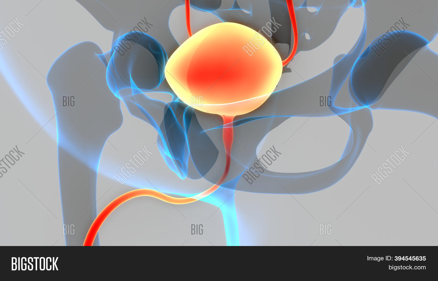 3d Illustration Image & Photo (Free Trial) | Bigstock