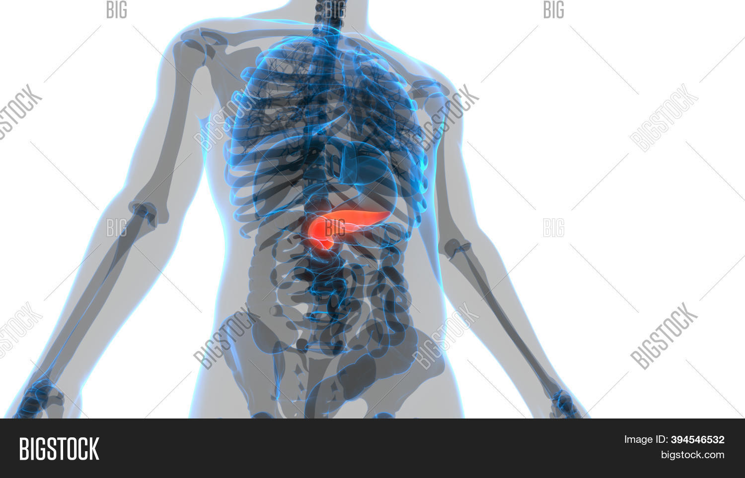 3d Illustration Image & Photo (Free Trial) | Bigstock