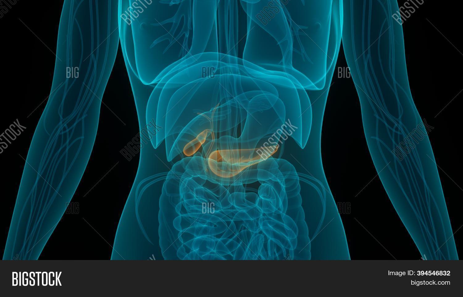 3d Illustration Image & Photo (Free Trial) | Bigstock