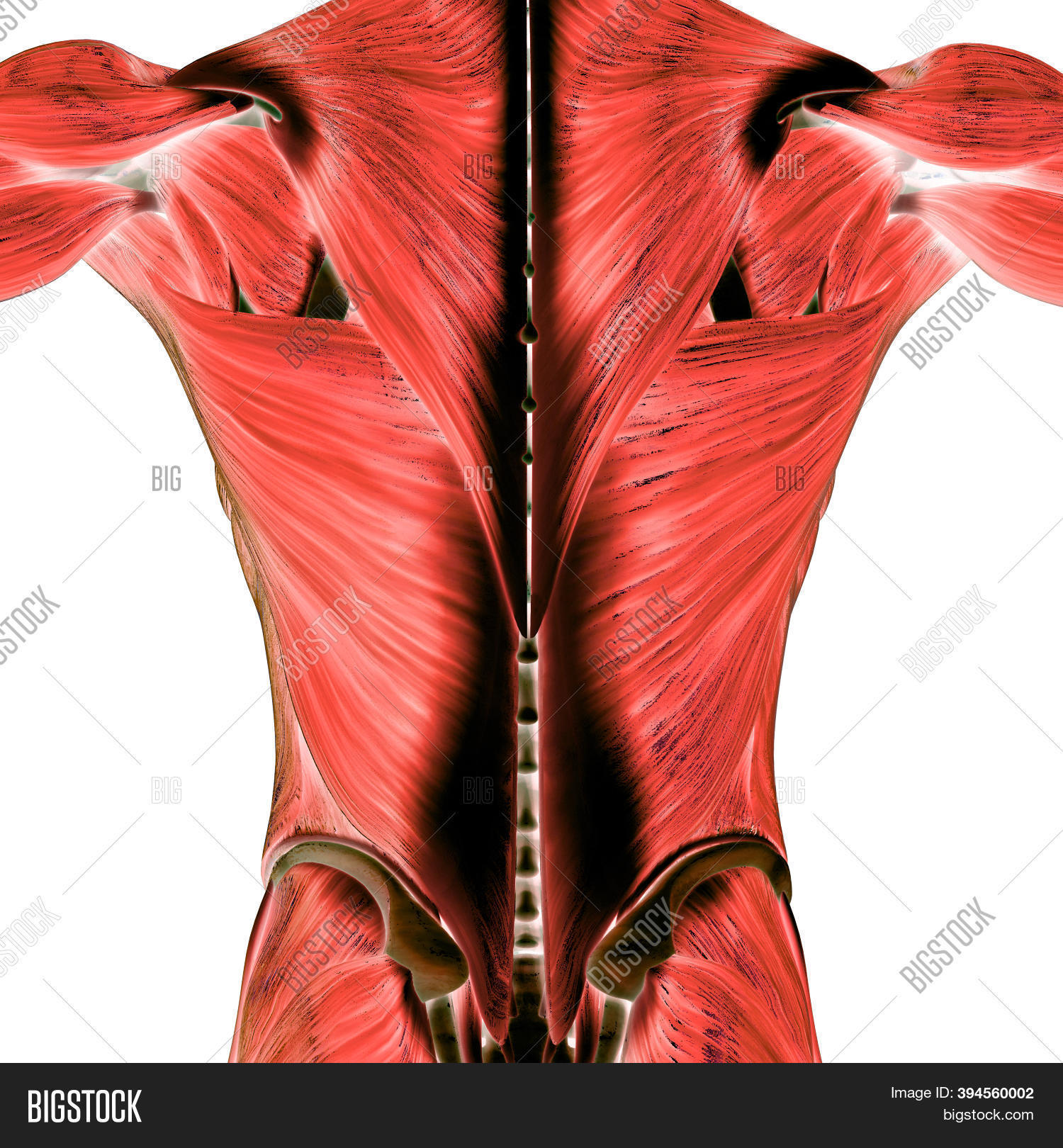 3d Illustration Image & Photo (Free Trial) | Bigstock