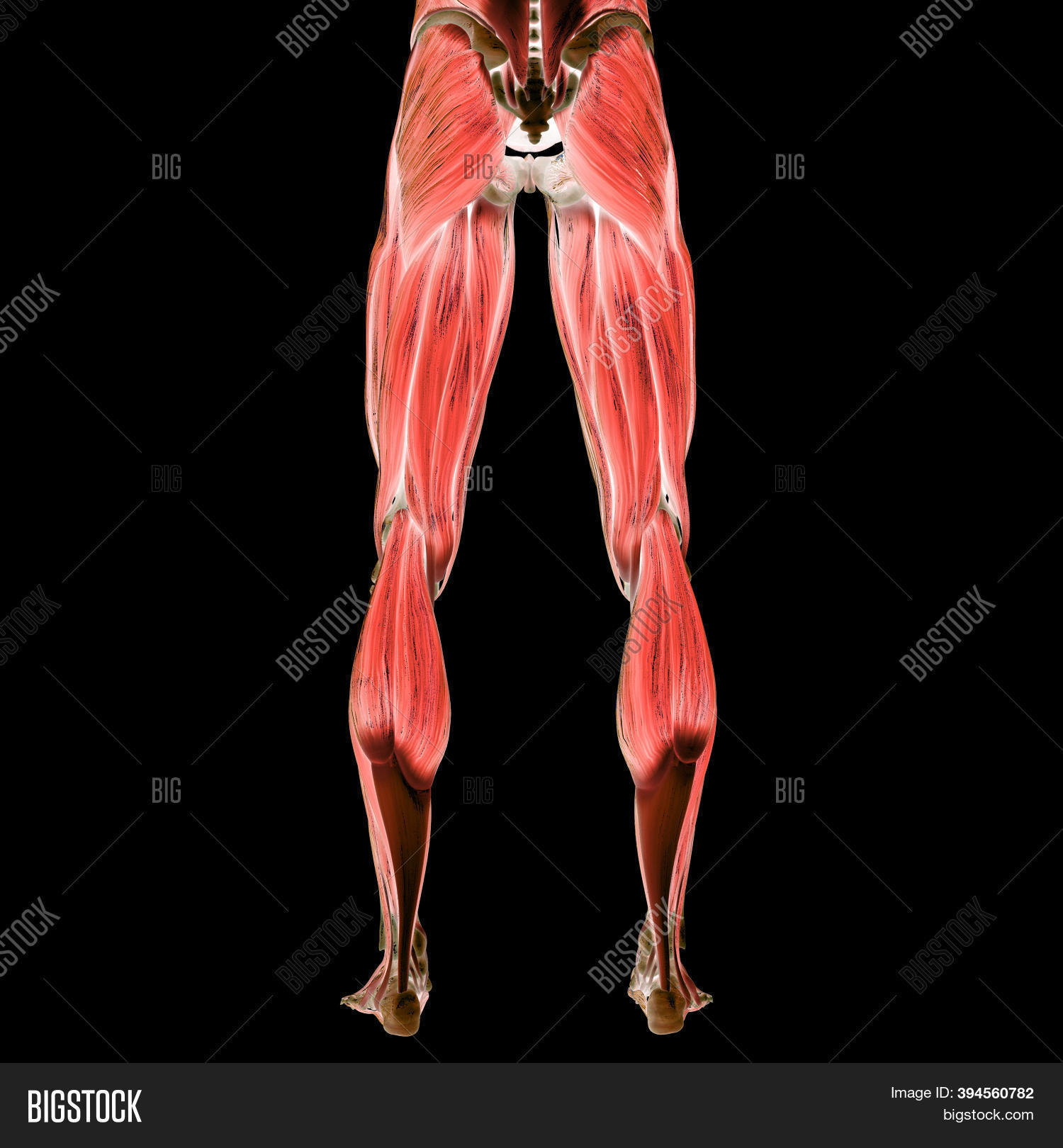 3d Illustration Image & Photo (Free Trial) | Bigstock