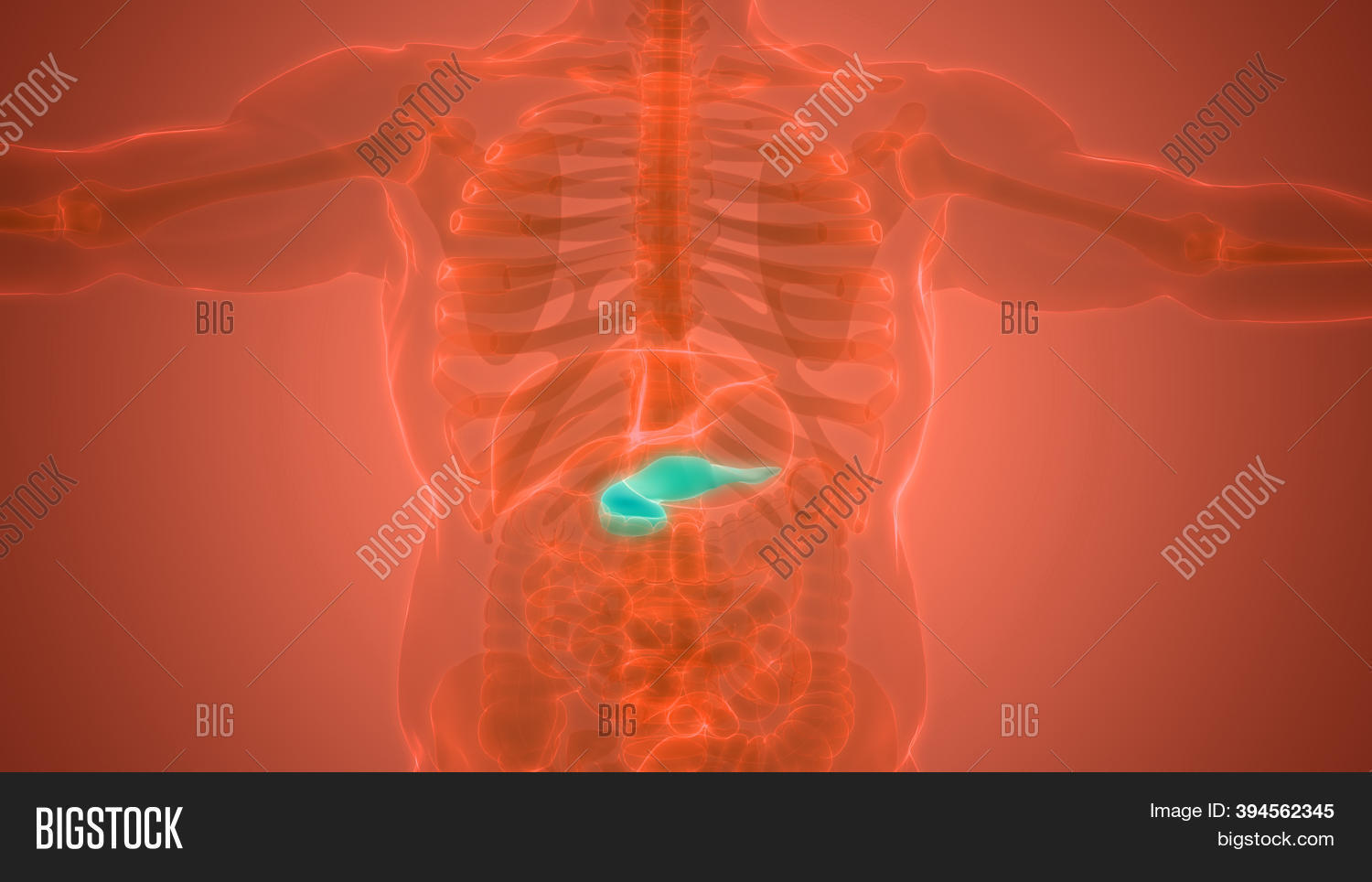 3d Illustration Image & Photo (Free Trial) | Bigstock