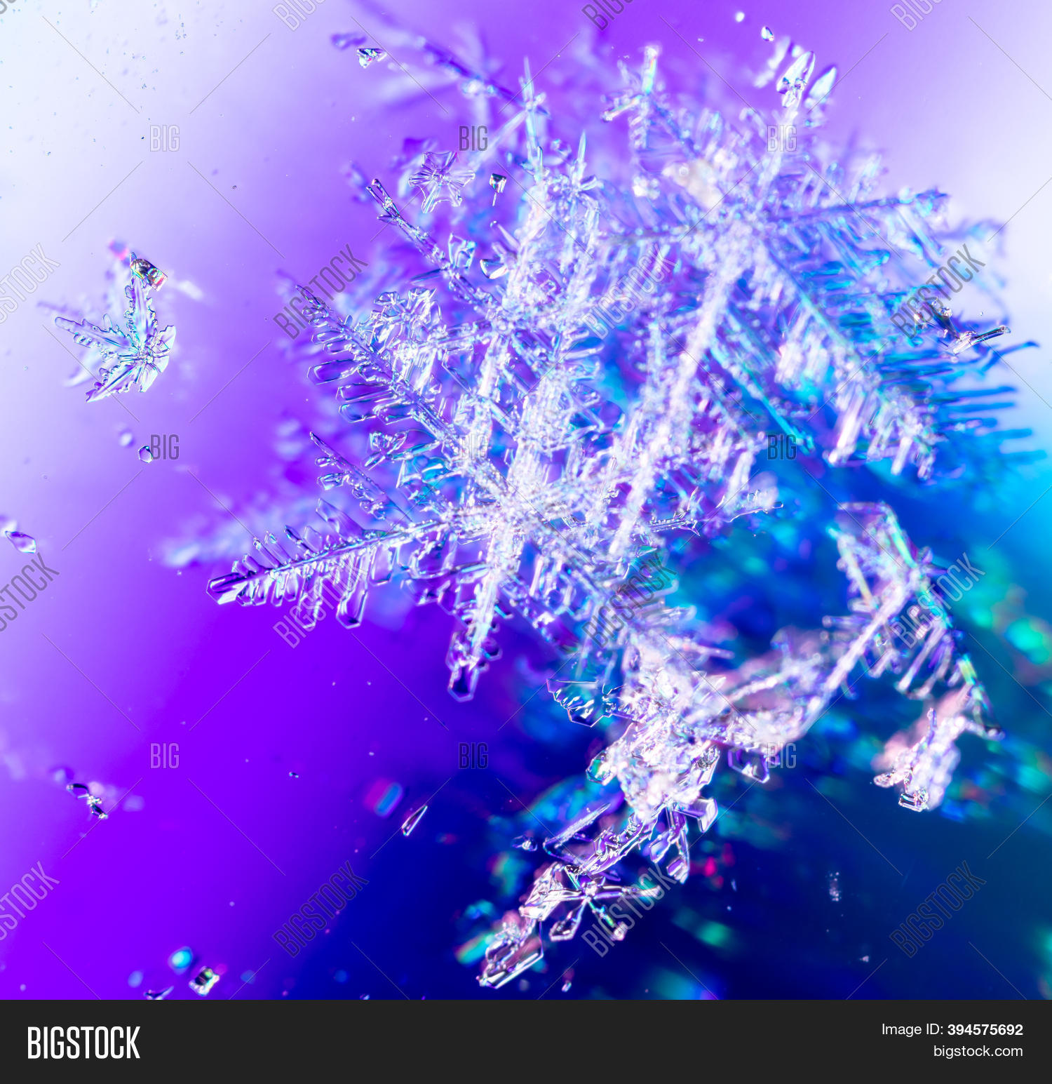 Snowflakes On Purple Image & Photo (Free Trial) | Bigstock