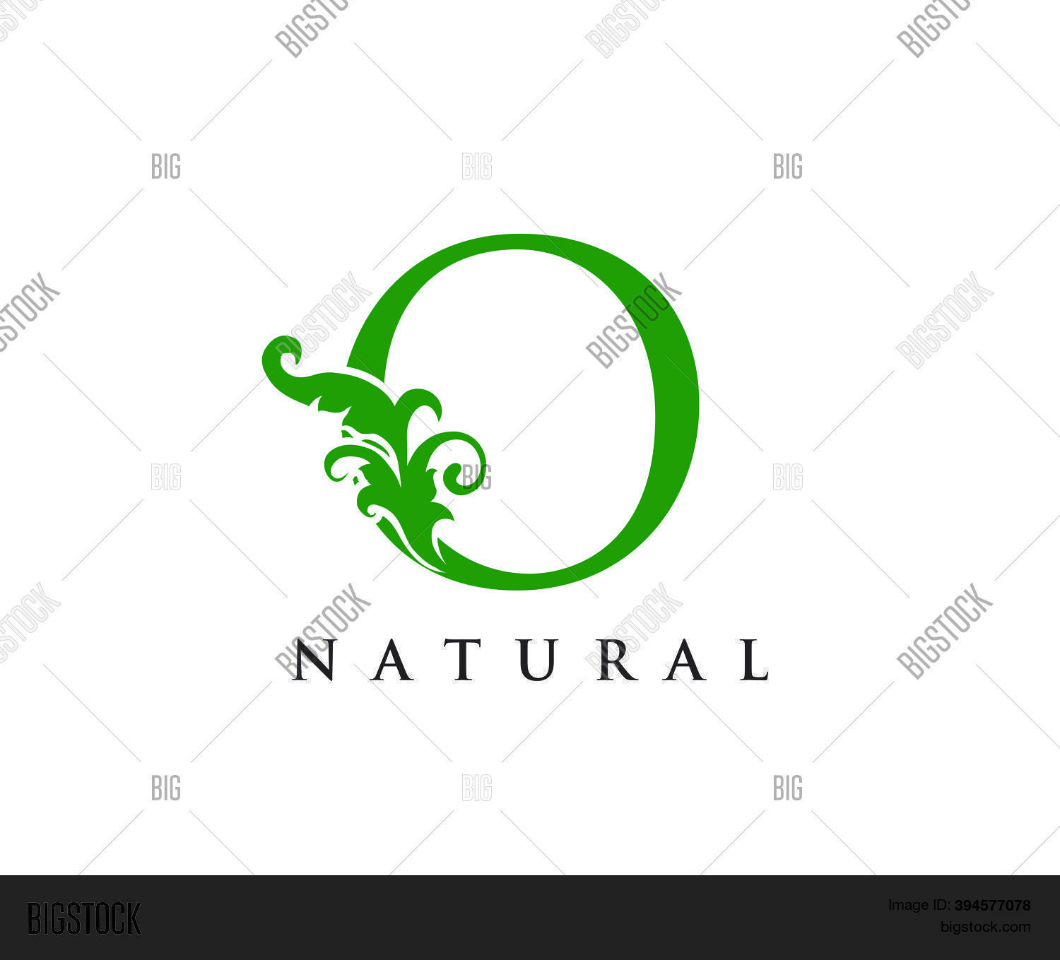 Green O Letter Logo. Vector & Photo (Free Trial) | Bigstock