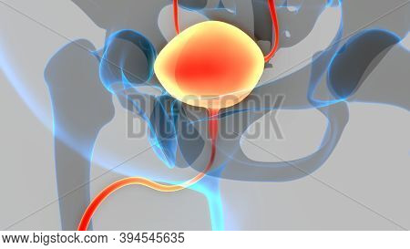 3d Illustration Image & Photo (Free Trial) | Bigstock