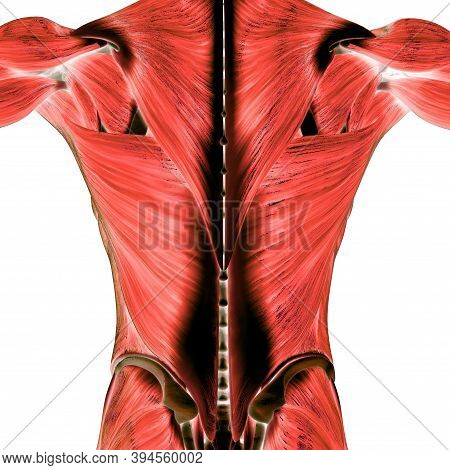 3d Illustration Image & Photo (Free Trial) | Bigstock