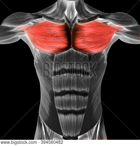 3d Illustration Image & Photo (Free Trial) | Bigstock