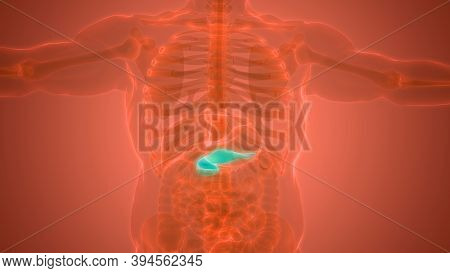 3d Illustration Image & Photo (Free Trial) | Bigstock