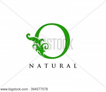 Green O Letter Logo. Vector & Photo (Free Trial) | Bigstock