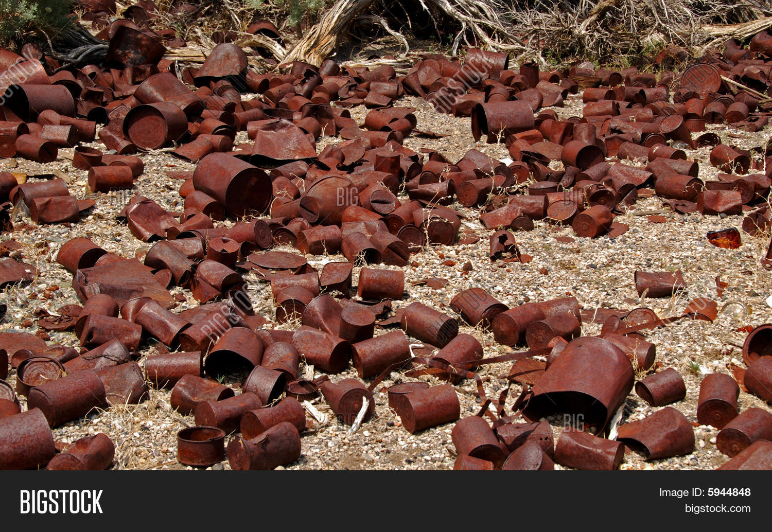 Cans Image & Photo (Free Trial) | Bigstock