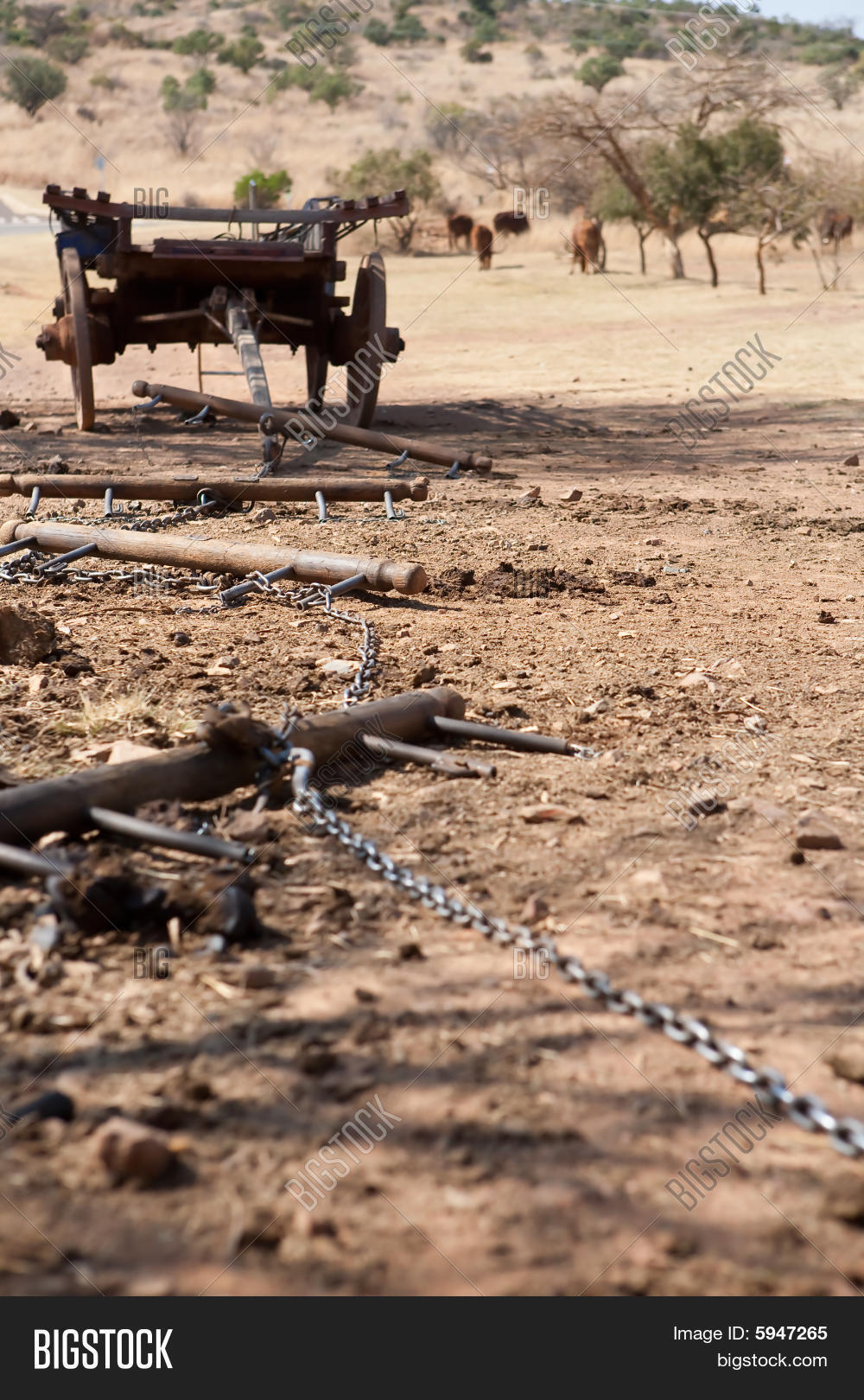 Oxwagon Image & Photo (Free Trial) | Bigstock