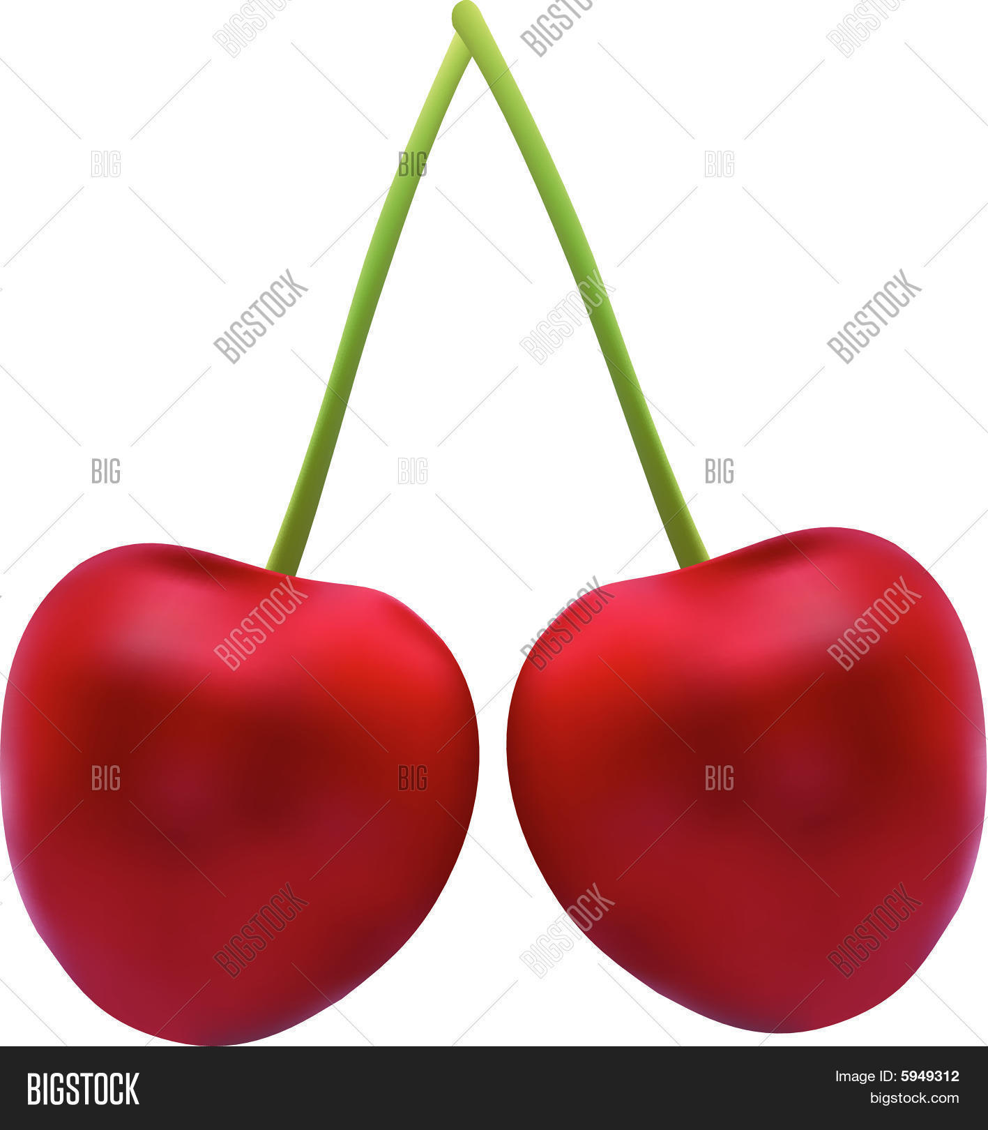Vector Cherry Vector & Photo (Free Trial) | Bigstock