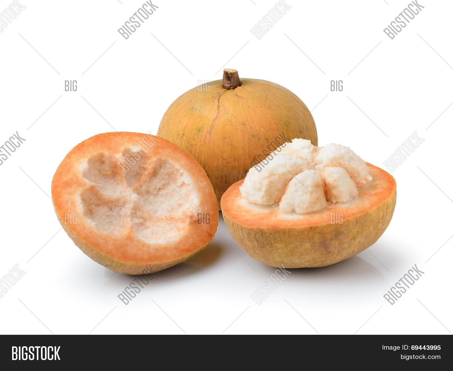 Santol Fruit Isolated Image & Photo (Free Trial) | Bigstock