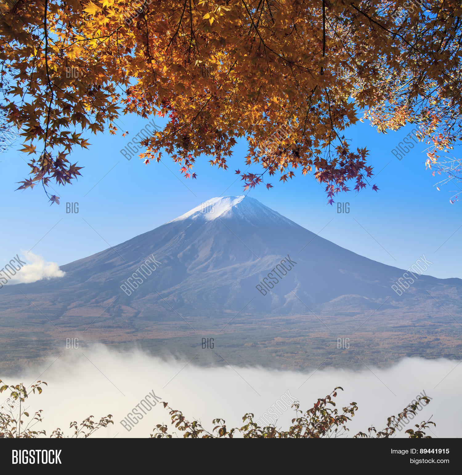 Mt. Fuji Fall Colors Image & Photo (Free Trial) | Bigstock