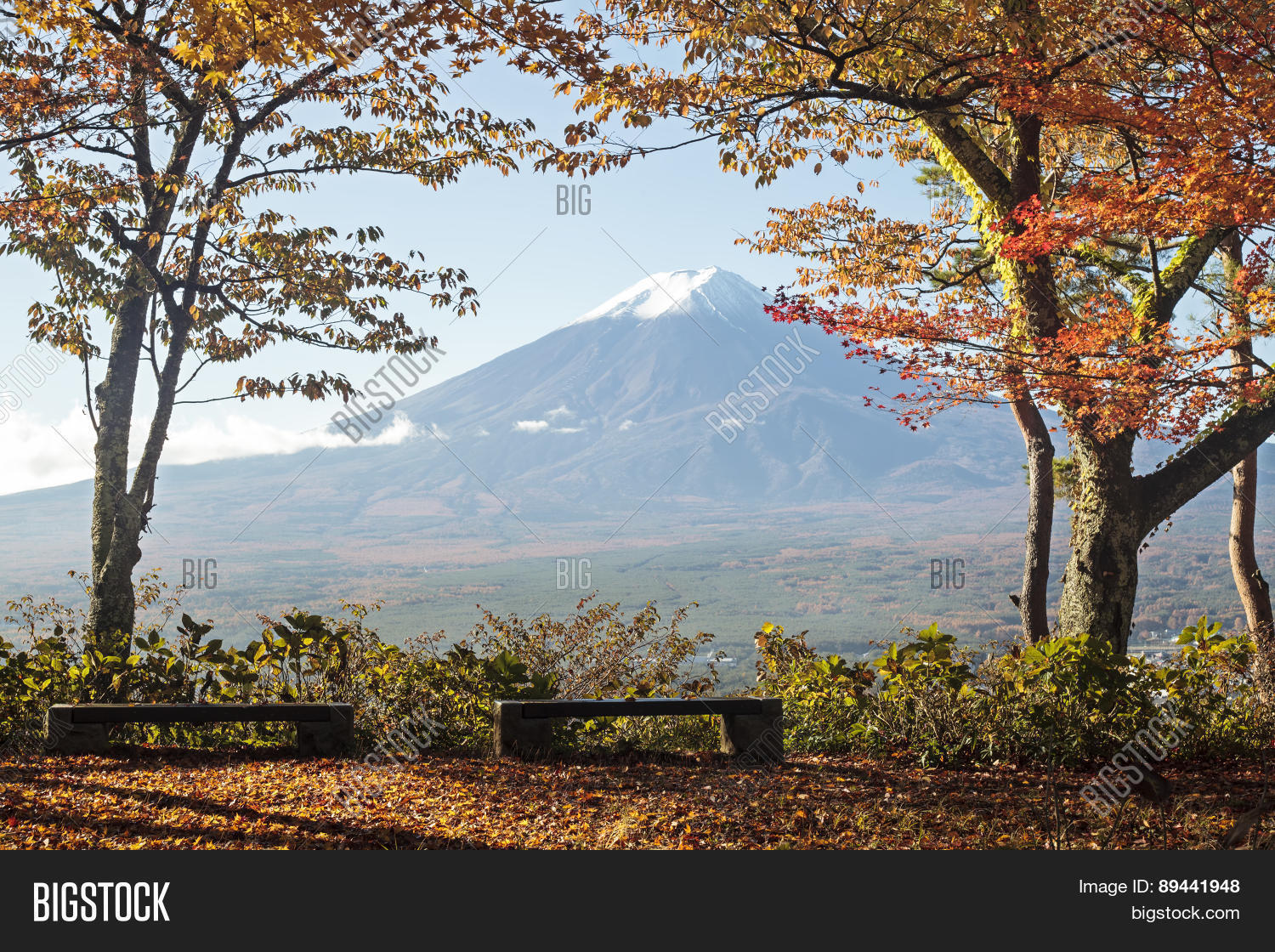 Mt. Fuji Fall Colors Image & Photo (Free Trial) | Bigstock