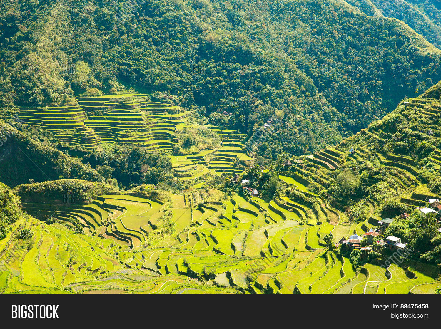 Rice Terraces Image & Photo (Free Trial) | Bigstock