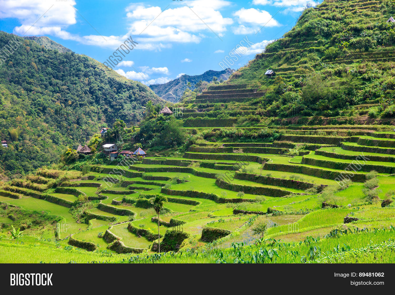 Rice Terraces Image & Photo (Free Trial) | Bigstock