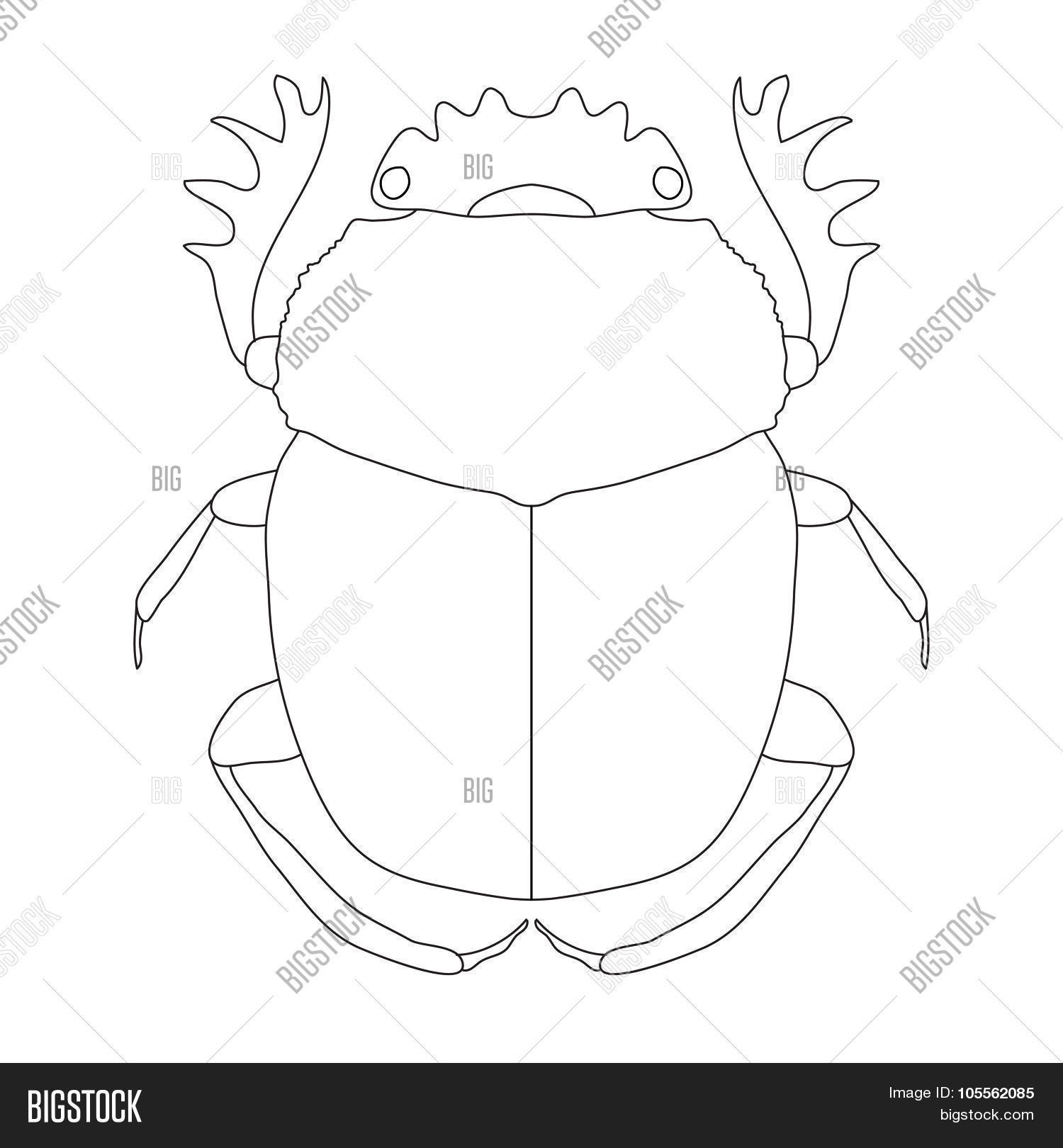 Scarab. Geotrupidae Vector & Photo (Free Trial) | Bigstock