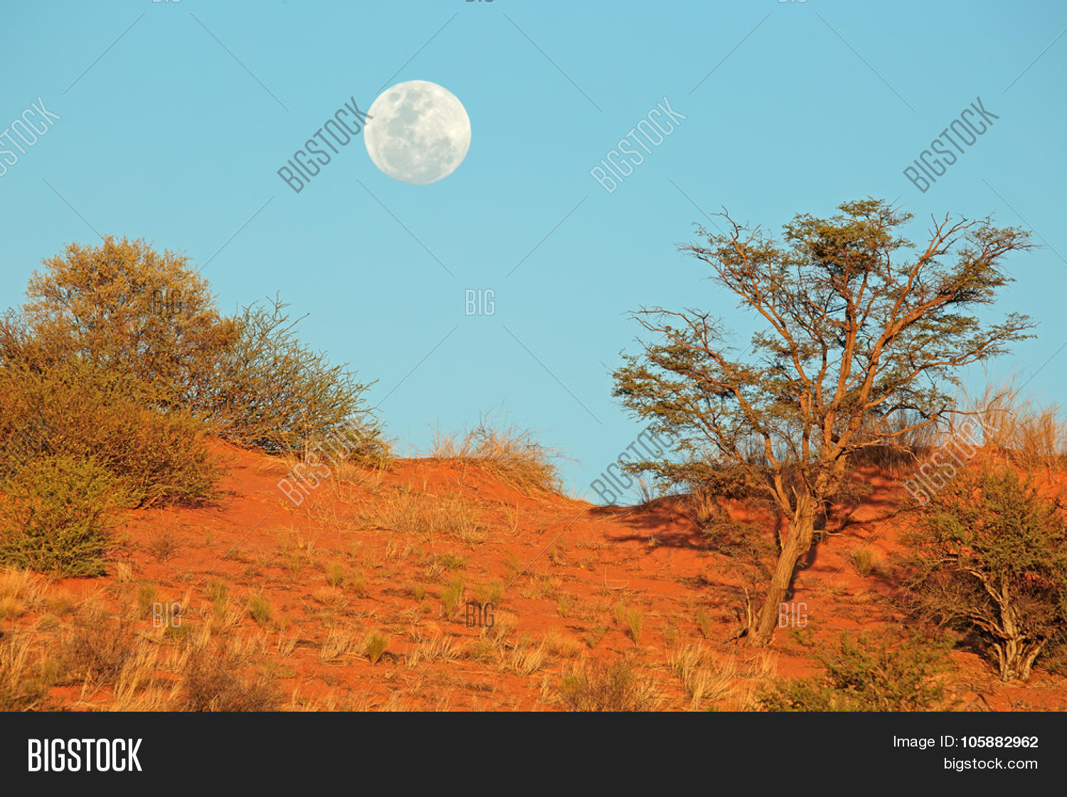 African Landscape Red Image & Photo (Free Trial) | Bigstock