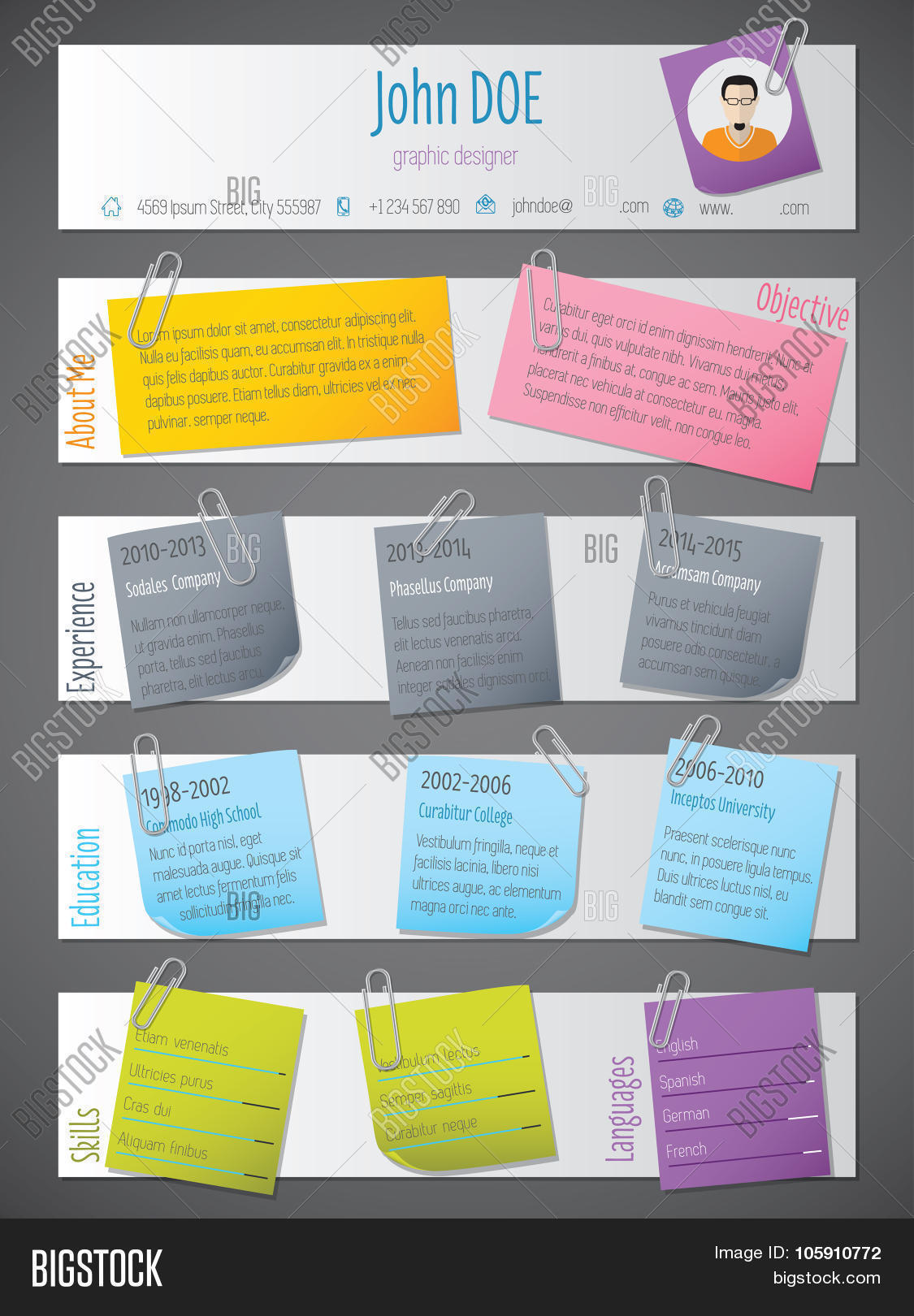 Modern Resume Cv Vector & Photo (Free Trial) | Bigstock