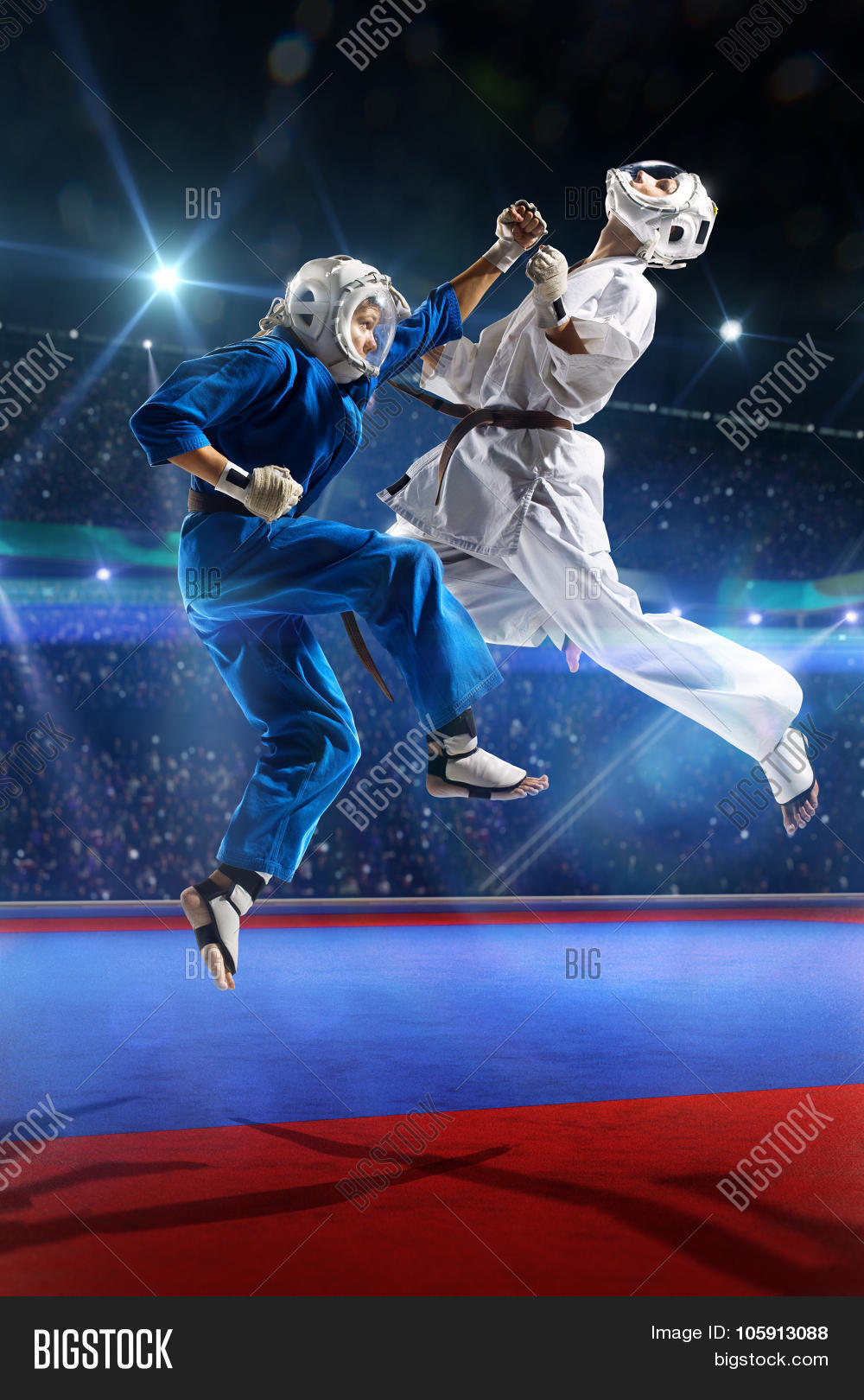 Imagen y foto Two Kudo Fighters (prueba gratis) | Bigstock