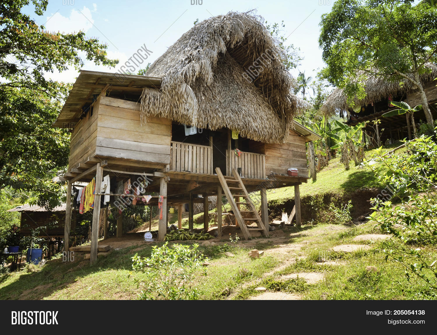Thatched Hut - Native Image & Photo (Free Trial) | Bigstock