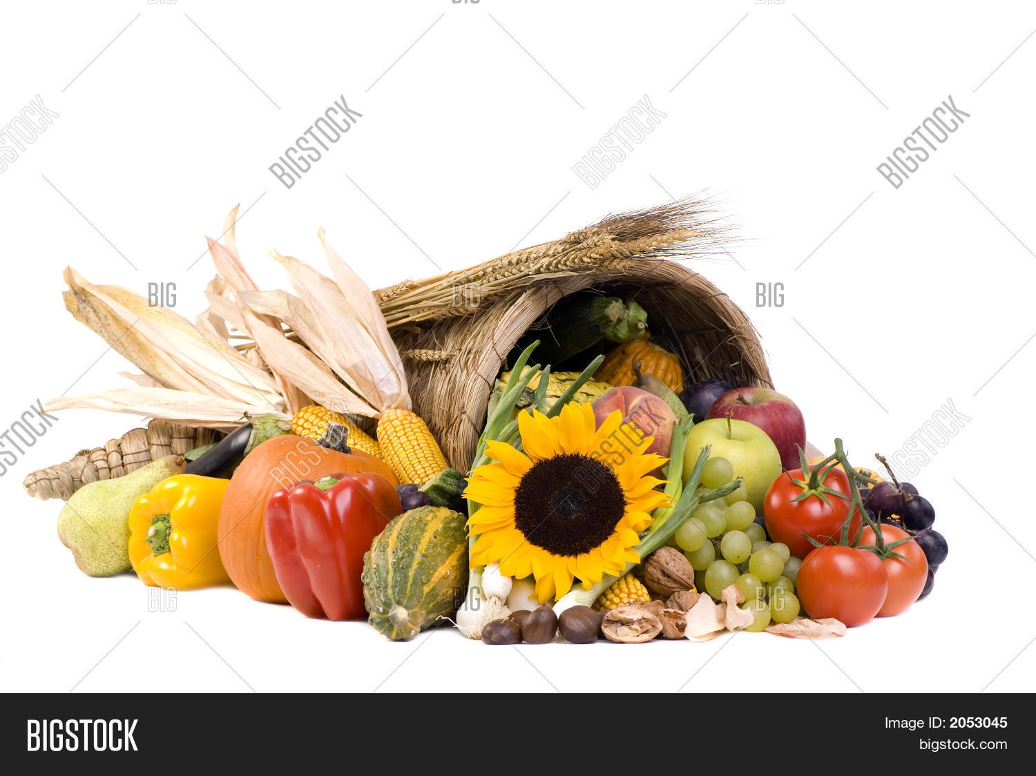 Cornucopia Image & Photo (Free Trial) | Bigstock