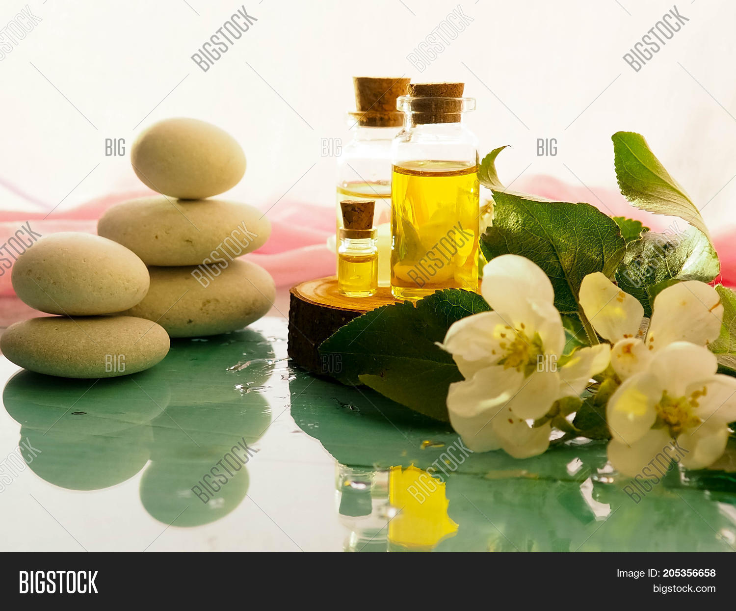 Bottle Aroma Essential Image & Photo (Free Trial) | Bigstock