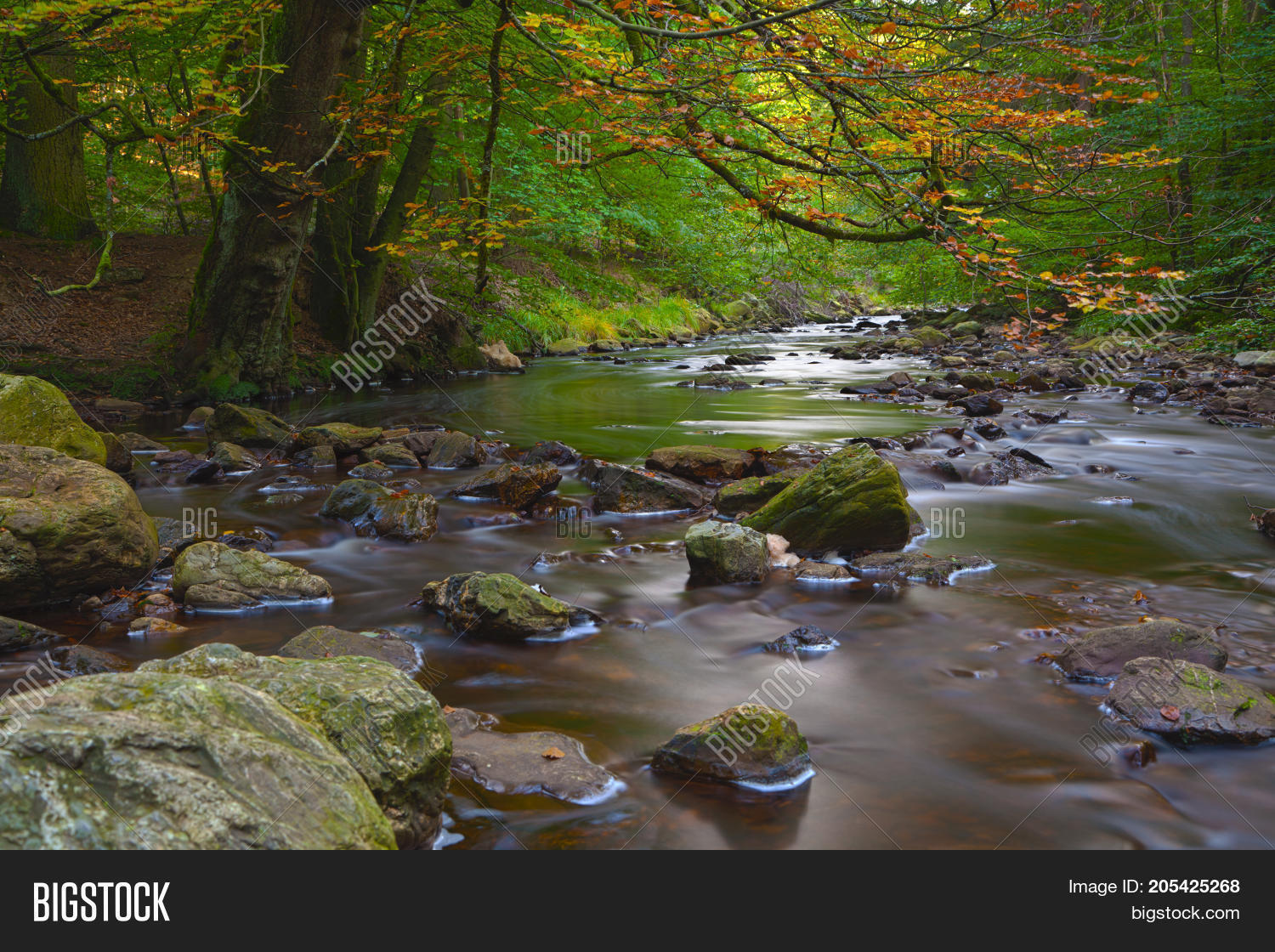 Autumn Stream Long Image & Photo (Free Trial) | Bigstock