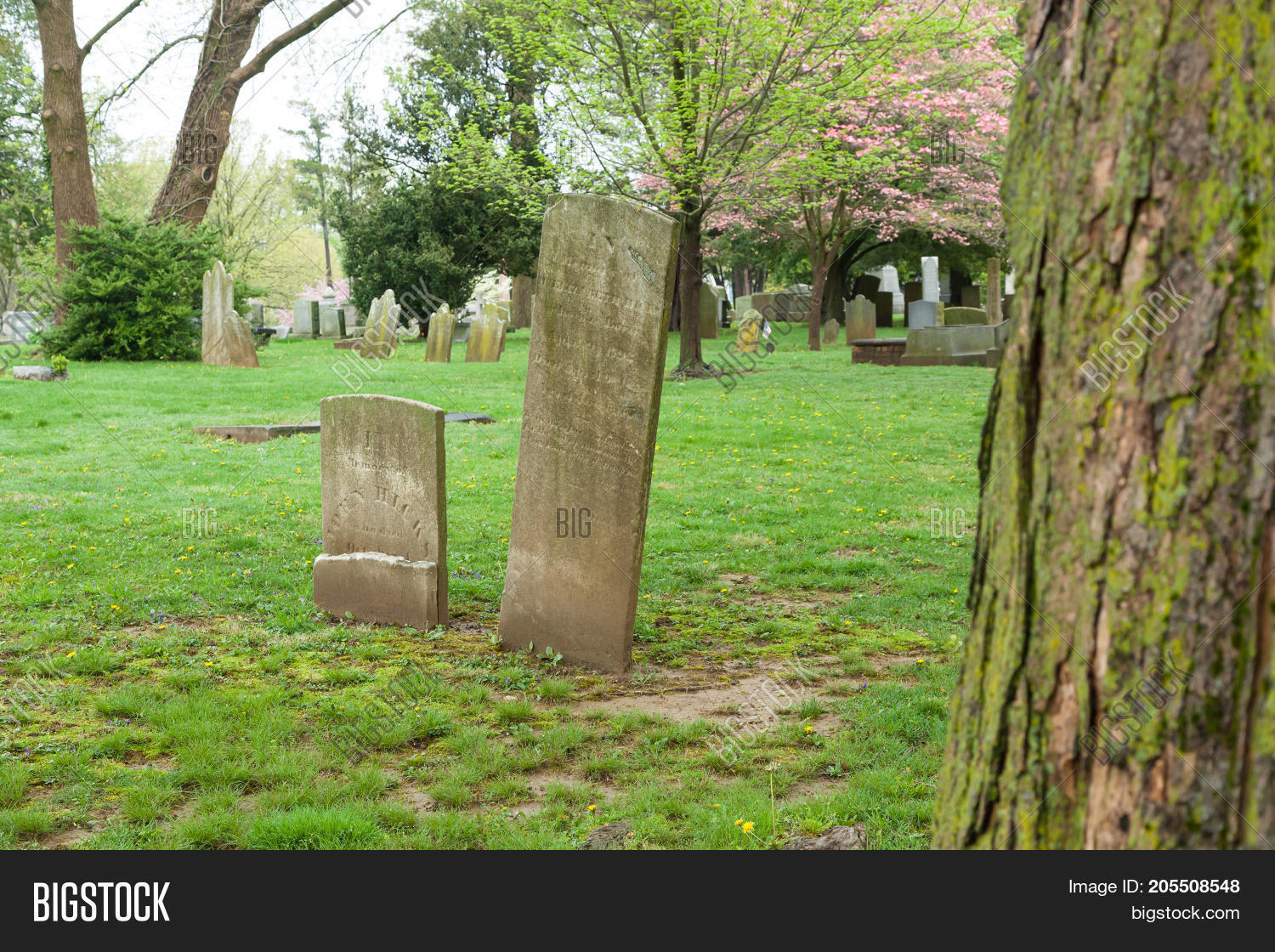 Princeton Cemetery Image & Photo (Free Trial) | Bigstock