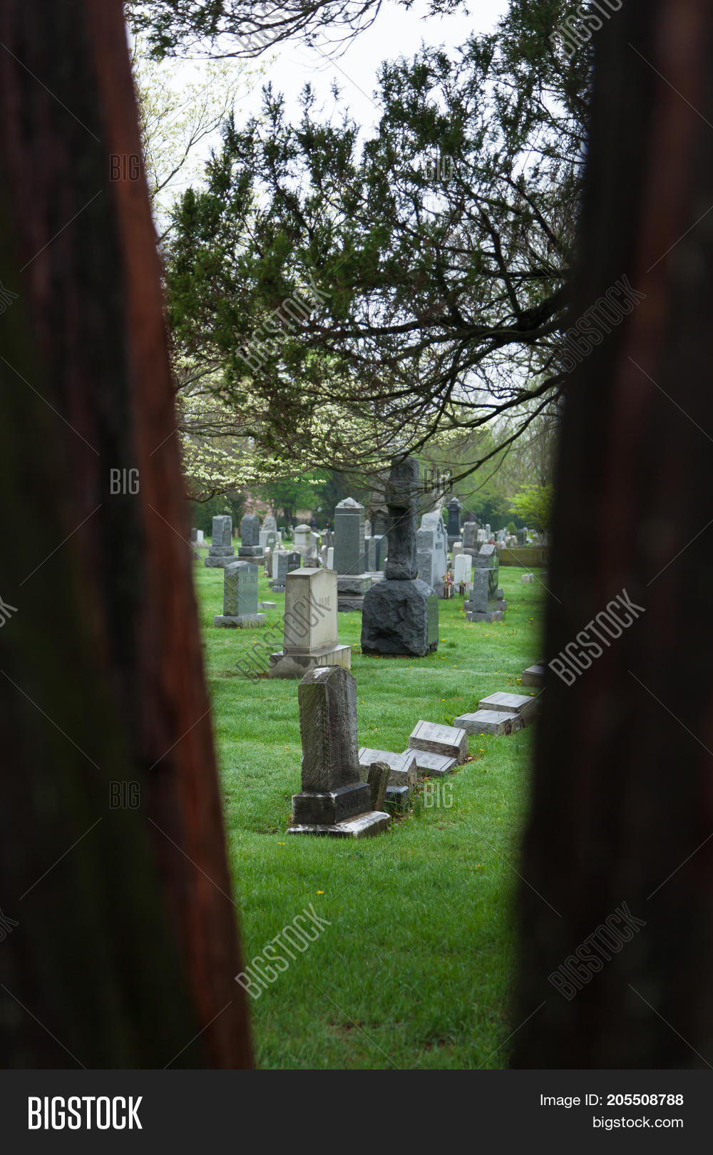 Princeton Cemetery Image & Photo (Free Trial) | Bigstock
