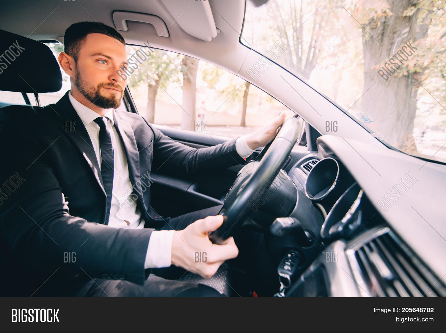 Handsome Bearded Image & Photo (Free Trial) | Bigstock