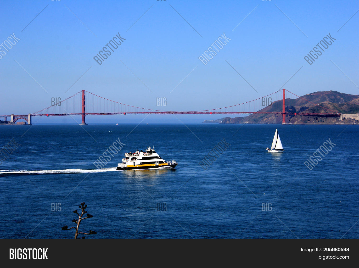 Boat Tour Golden Gate Image & Photo (Free Trial) | Bigstock