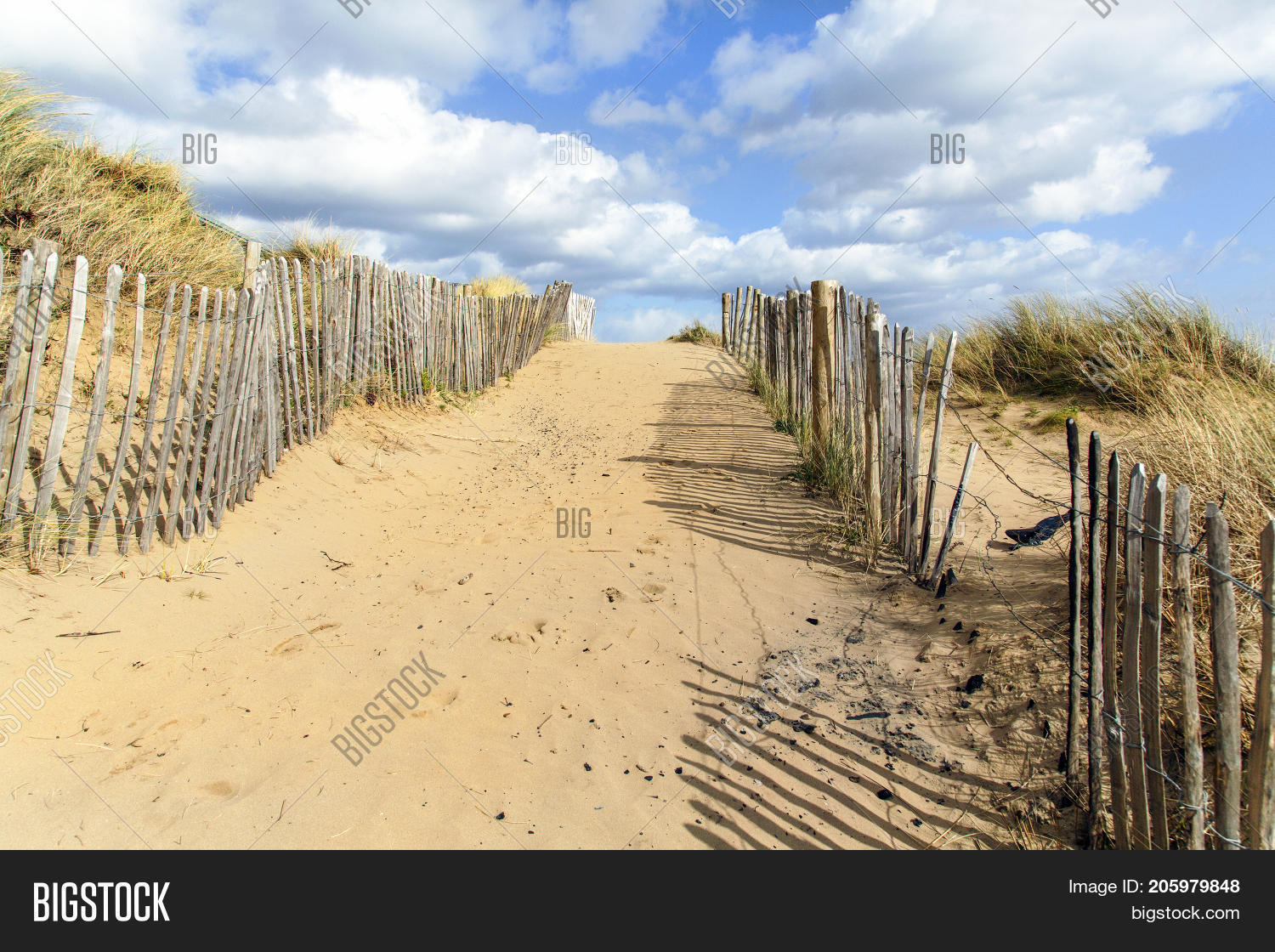 Path Through Sand Image & Photo (Free Trial) | Bigstock